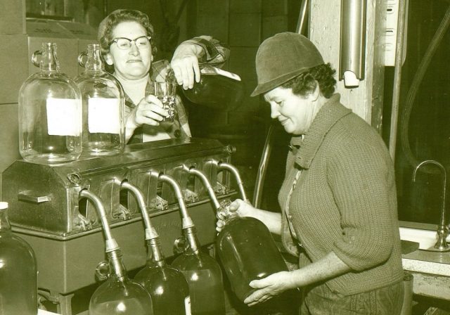 About Mayer Brothers | Since 1852 | West Seneca, NY